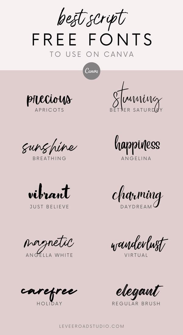 Best Free Script Fonts On Canva Part 2 Levee Road Studio