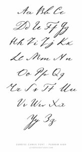 Best Free Cursive Fonts on Canva | Levee Road Studio
