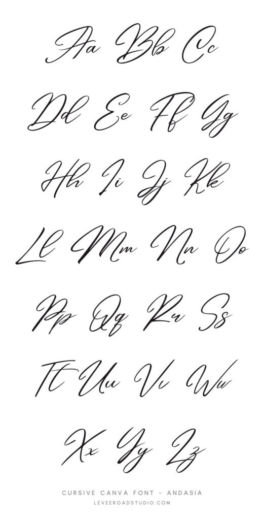 Pretty Cursive Fonts to Use on Canva | Levee Road Studio