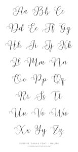 Pretty Cursive Fonts to Use on Canva | Levee Road Studio